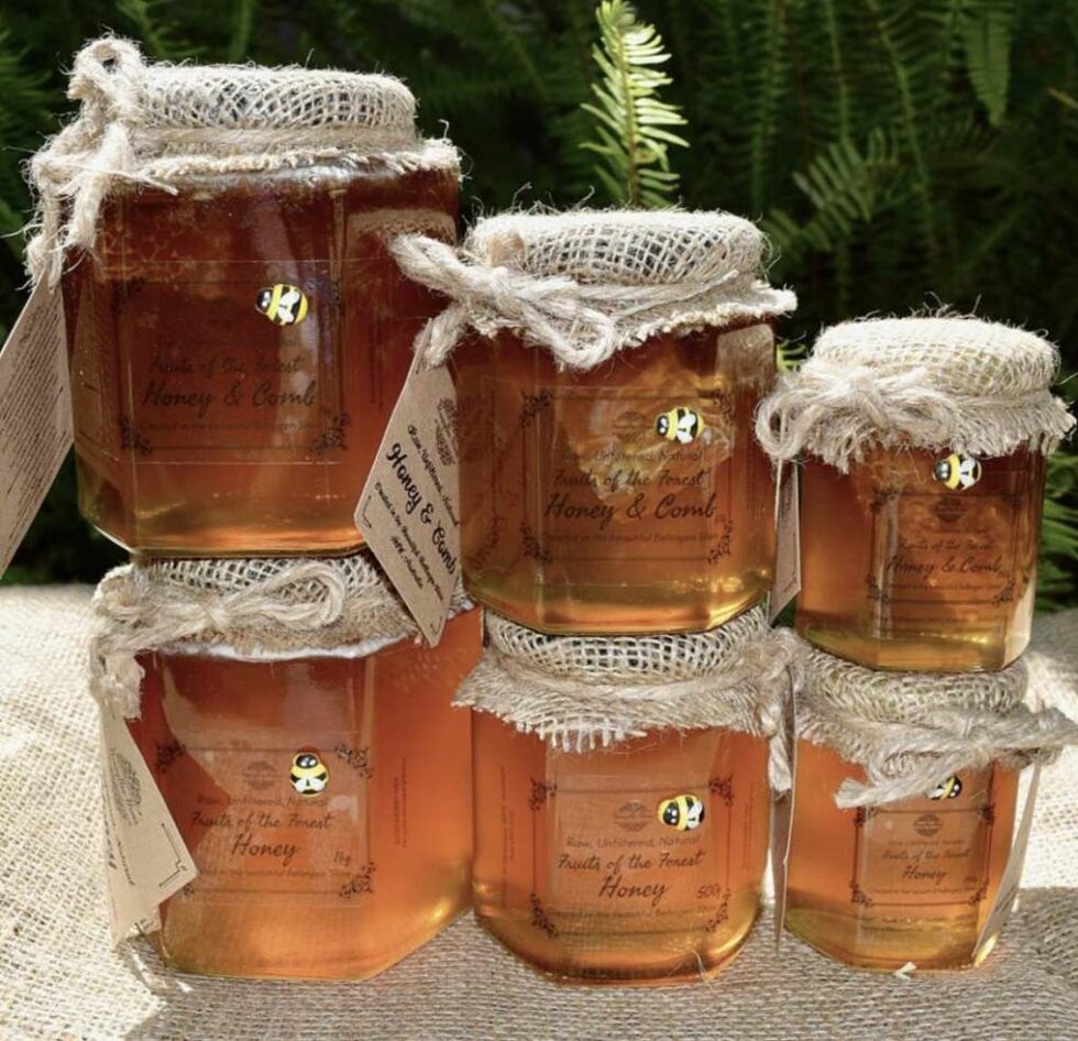 Award-Winning Honey and Honey + Honeycomb Jars - HoneyBee Hives