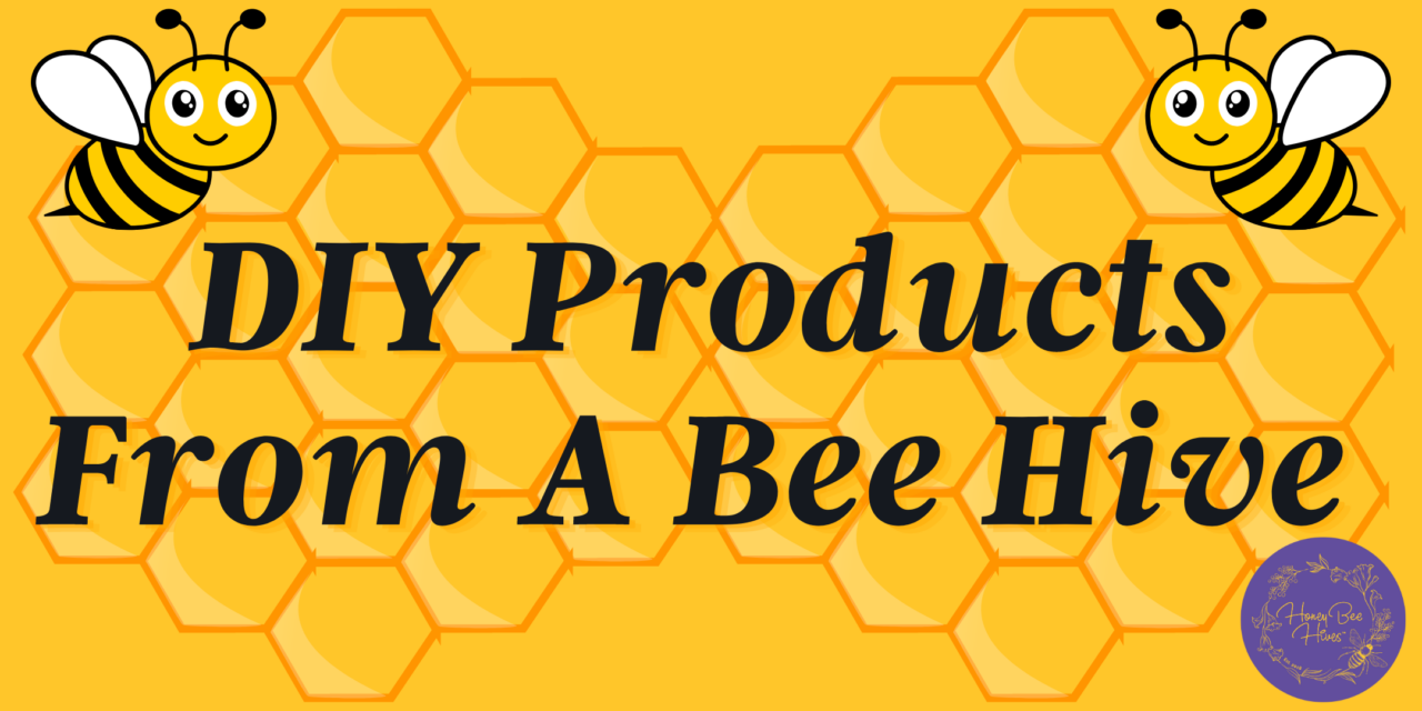 Free DIY Products From A Bee Hive Workshop - HoneyBee Hives