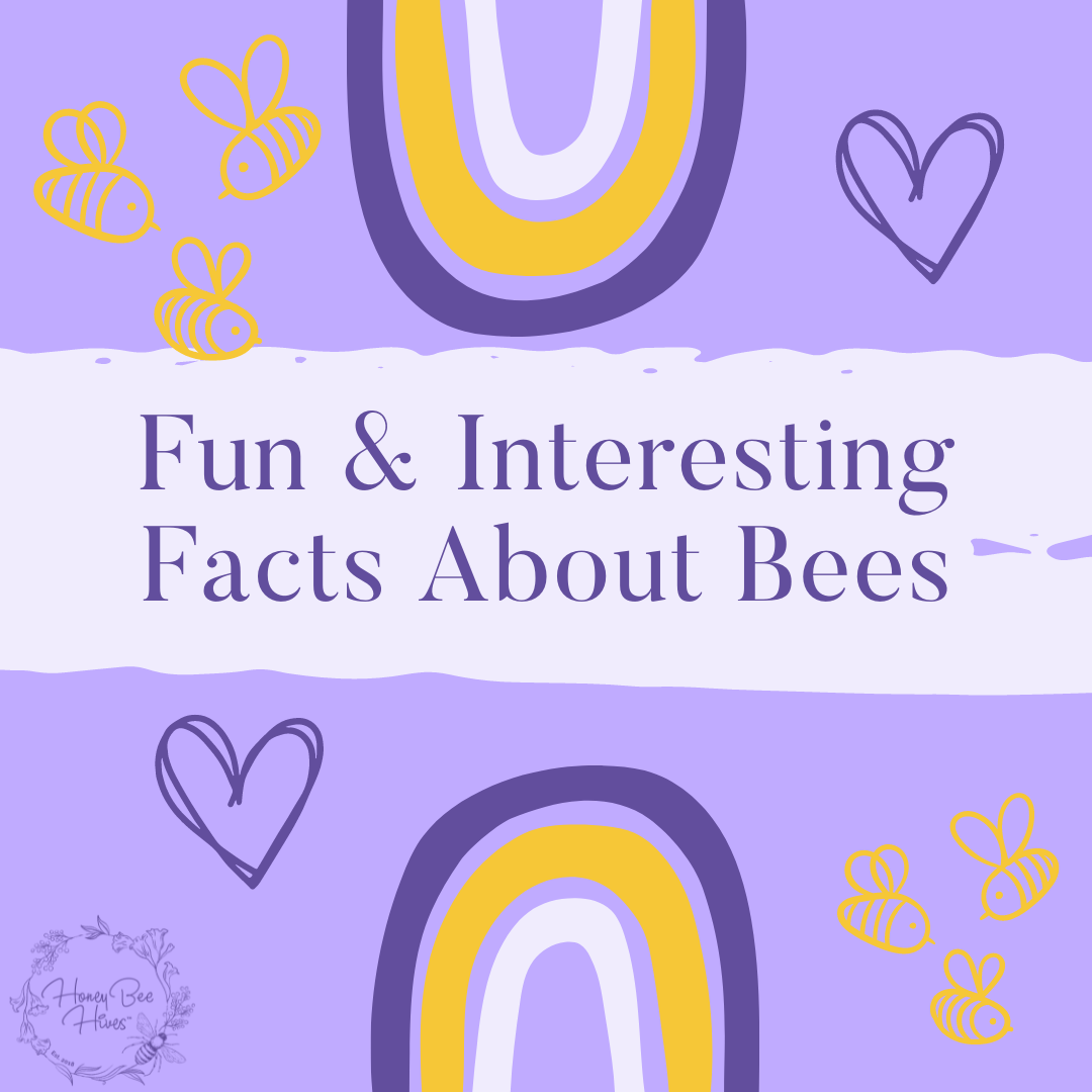 Fun Facts About Bees - HoneyBee Hives