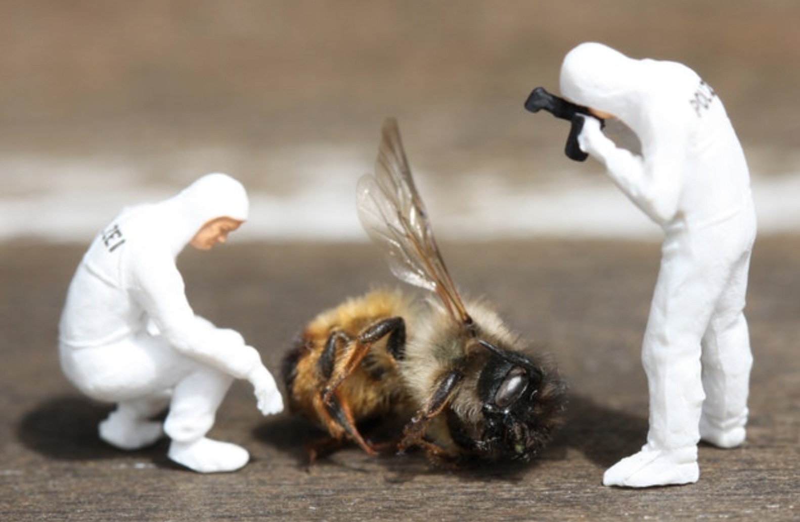 Pesticides Kill Bees - HoneyBee Hives